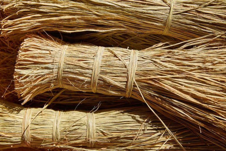 Esparto ♻️ 1000 propiedades y usos - Agromasia.com