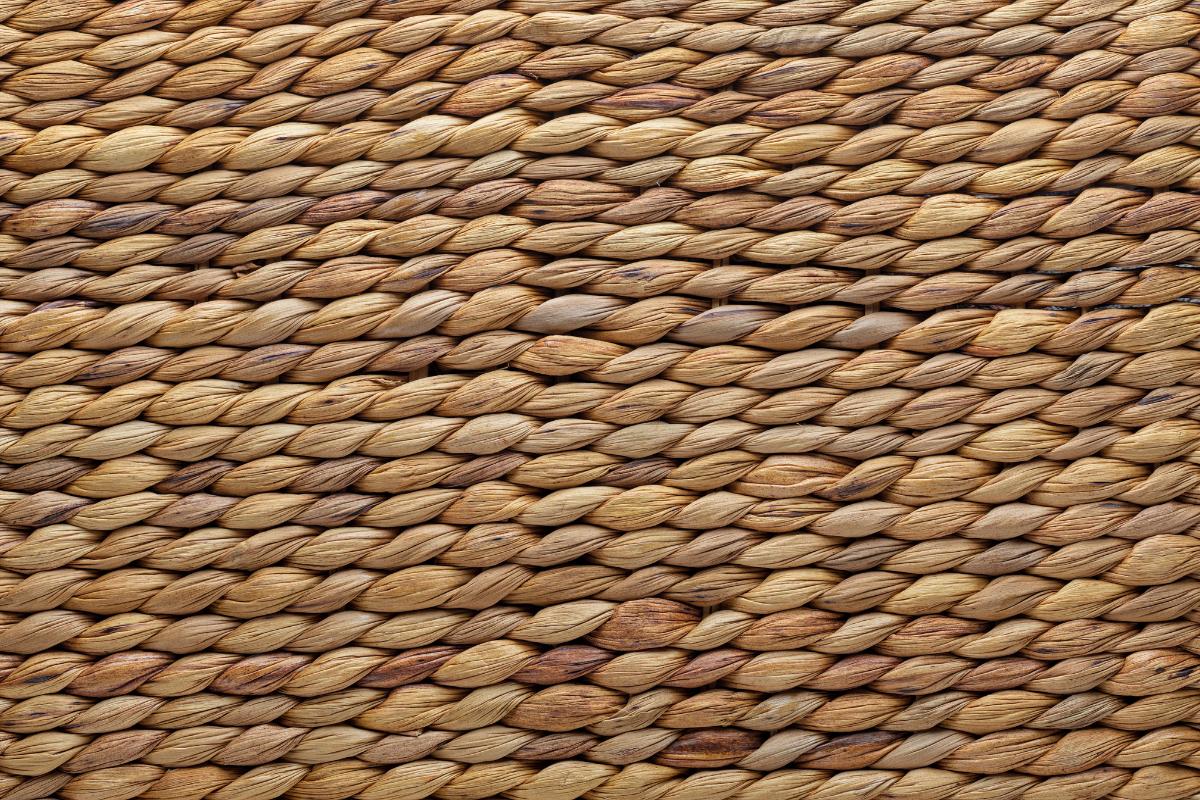 Mimbre ♻️ Fibra natural decorativa de gran utilidad - Agromasia.com